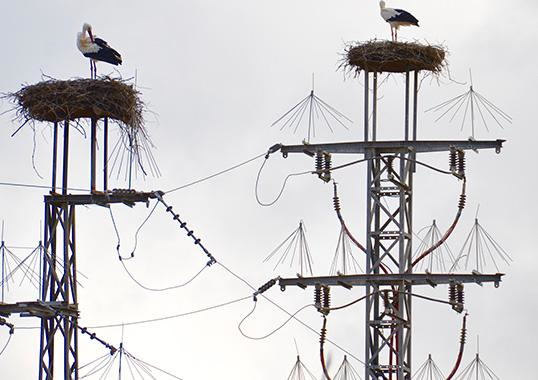 Electrical Transmission Towers Explained - saVRee